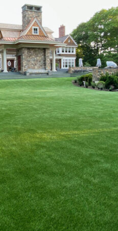 Grass Without Limits® | ForeverLawn®, Inc.