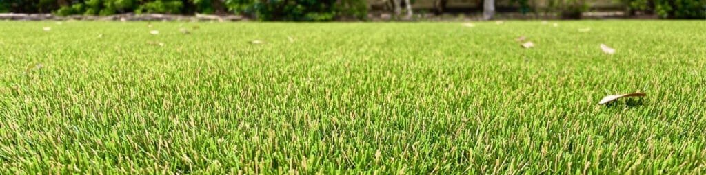 The ForeverLawn Difference | ForeverLawn, Inc.
